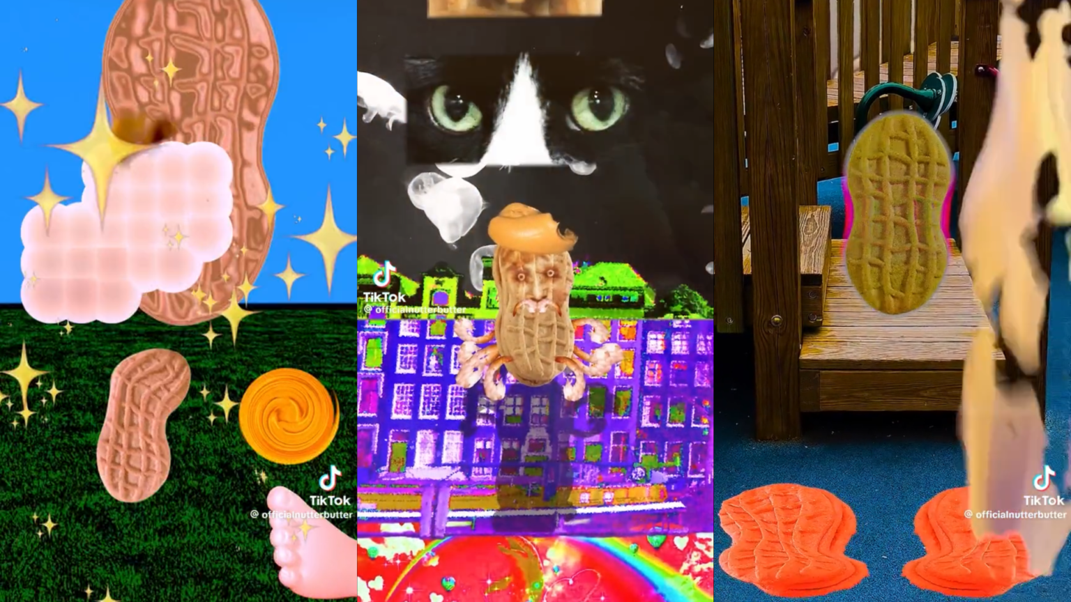 The Bizarre Brilliance of Nutter Butter's TikTok